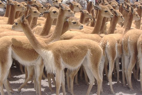 Our Products - Padbrook Limited